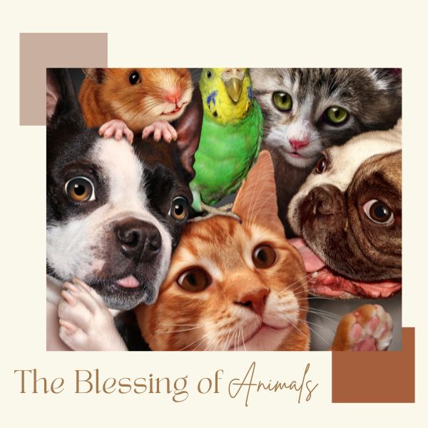 Blessing of Animals - Saint Francis of Assisi